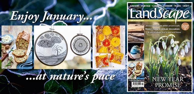 Latest Issues | Magazine | Landscape