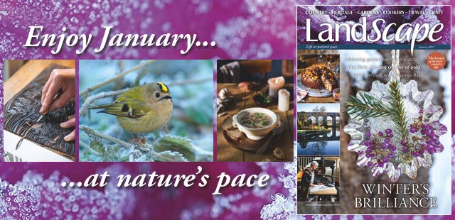 Latest Issues | Magazine | Landscape