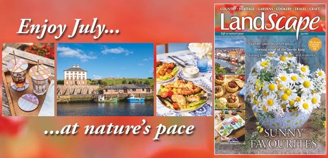 Latest Issues | Magazine | Landscape