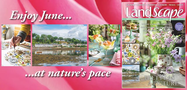 Latest Issues | Magazine | Landscape