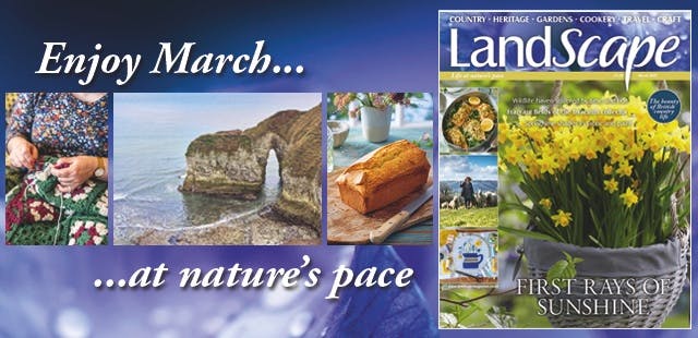 Welcome to LandScape | Landscape