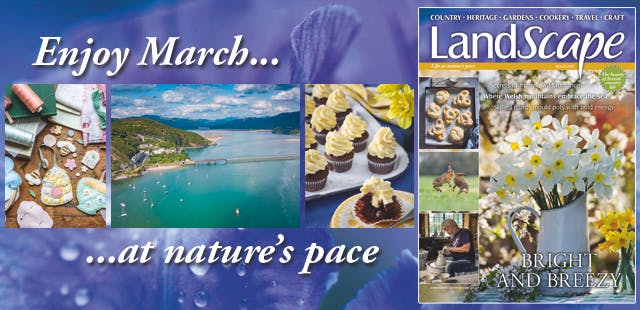 Landscape Magazine