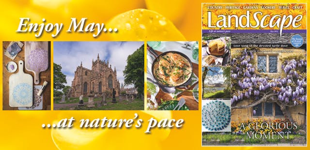 Latest Issues | Magazine | Landscape