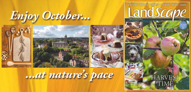 Latest Issues | Magazine | Landscape