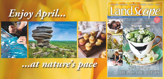 Latest Issues | Magazine | Landscape