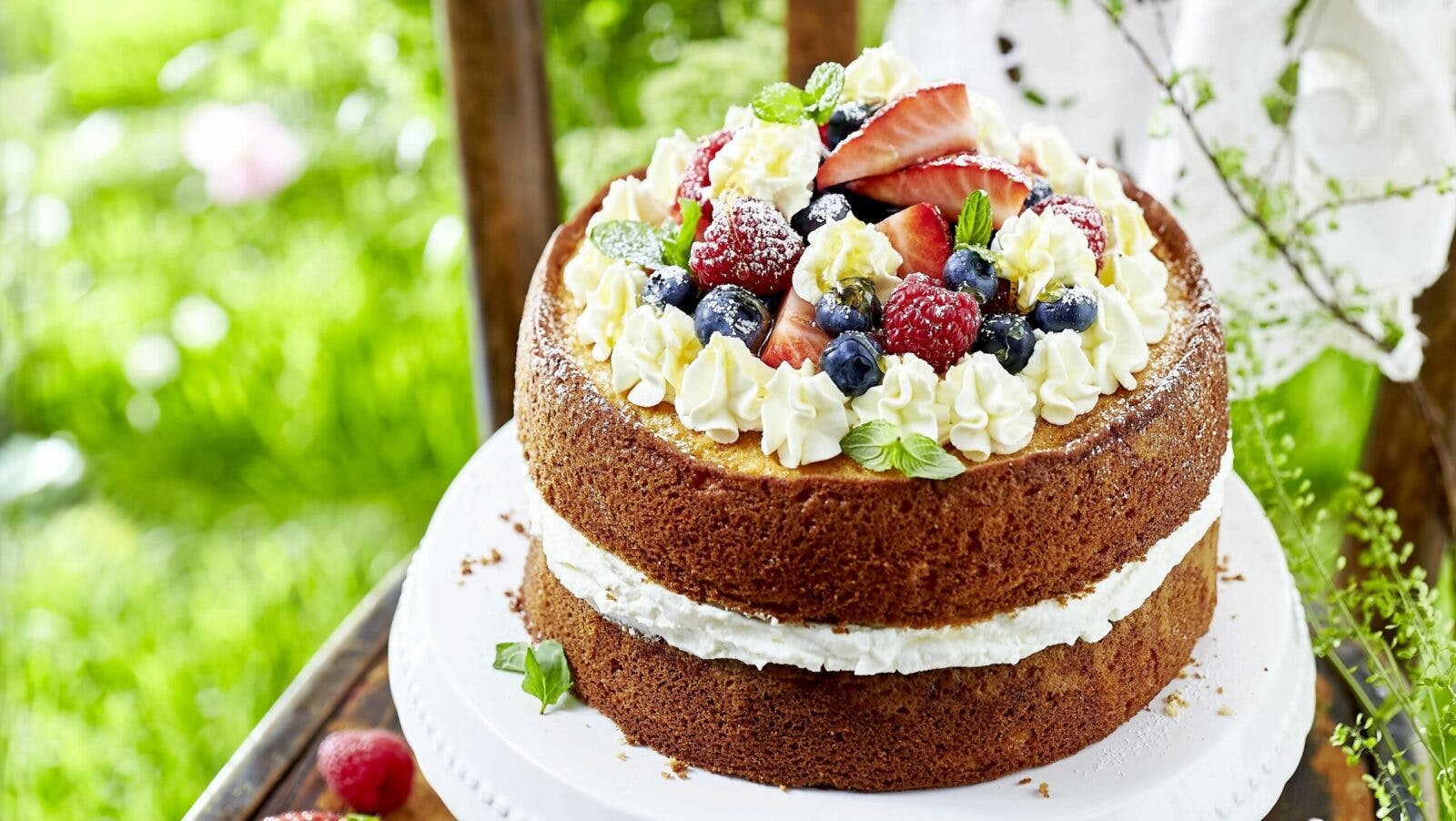 Elizabeth sponge | Landscape