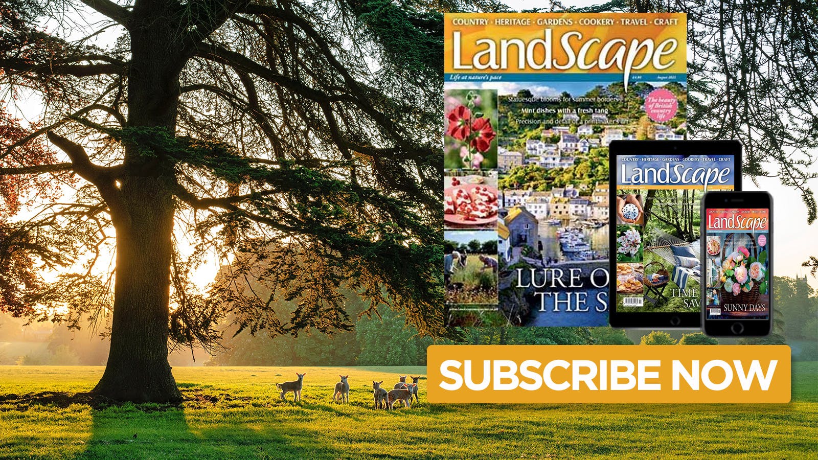 Landscape.jpg?format=jpg&quality=80&width=960&height=540&ratio=16-9 ...