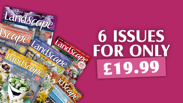 Latest Issues | Magazine | Landscape
