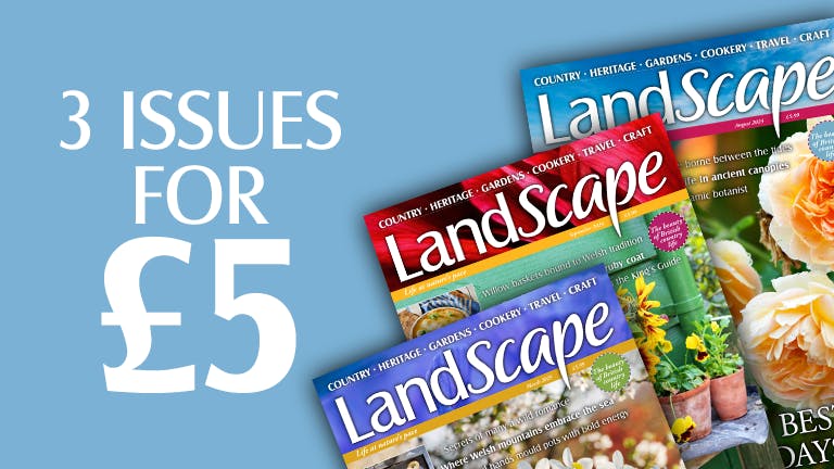 Latest Issues | Magazine | Landscape