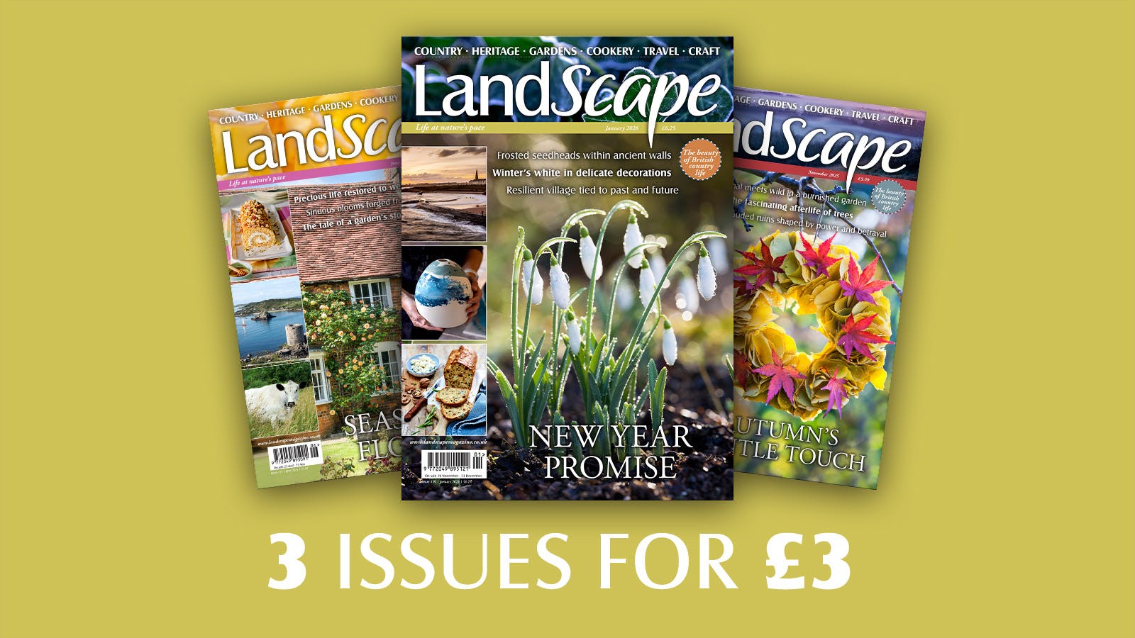 3 issues of landscape magazine for £3