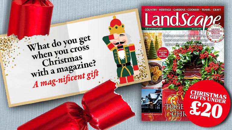 3 issues of landscape magazine for £5