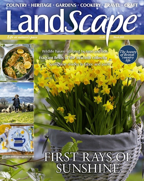 Welcome to LandScape | Landscape