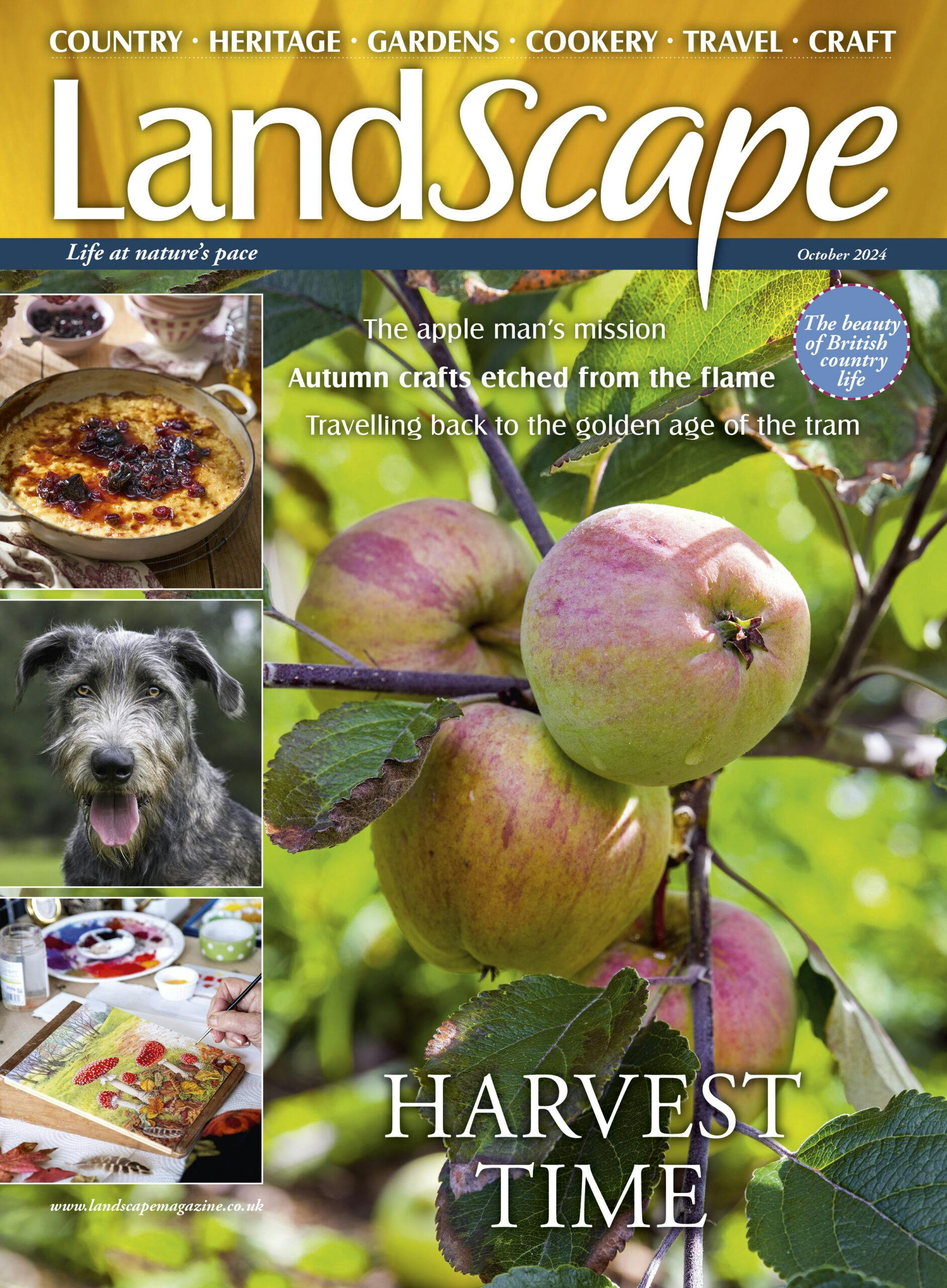 Latest Issues | Magazine | Landscape