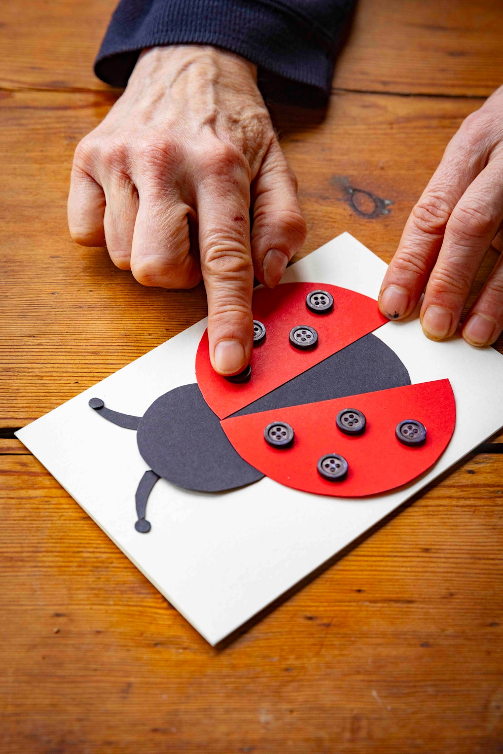 Nature-inspired greetings cards: DIY ladybird & bee design | %%channel ...