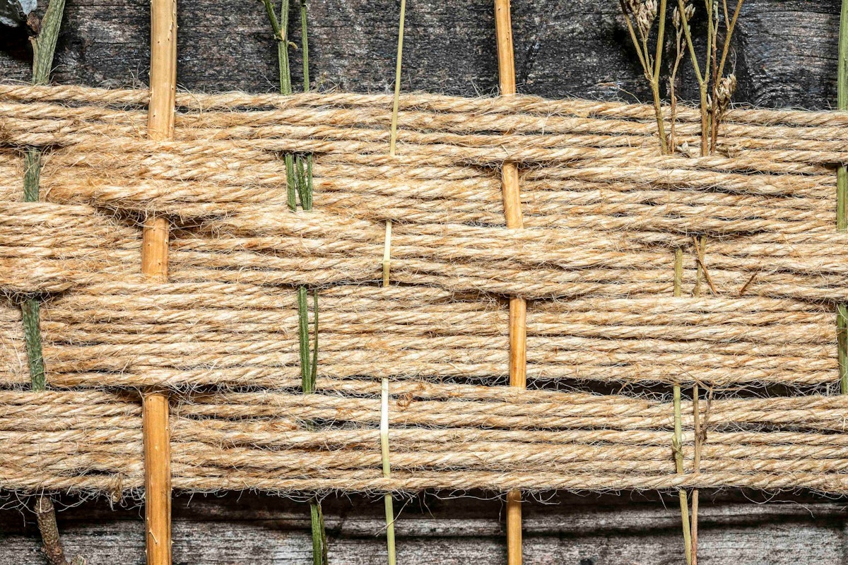 How to make a dried flower hoop decoration: Preserve nature’s beauty ...