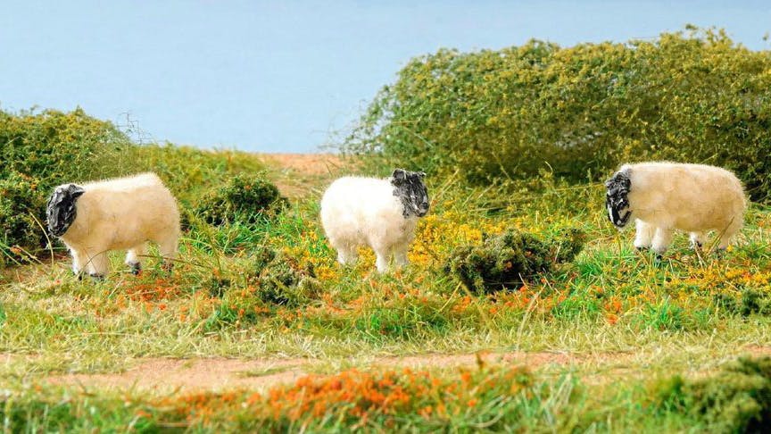 How to: make realistic sheep