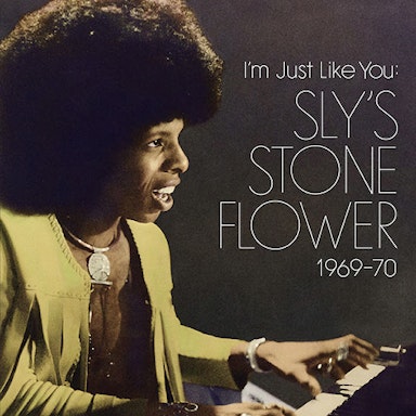 Every Sly Stone Album Ranked From Worst To Best