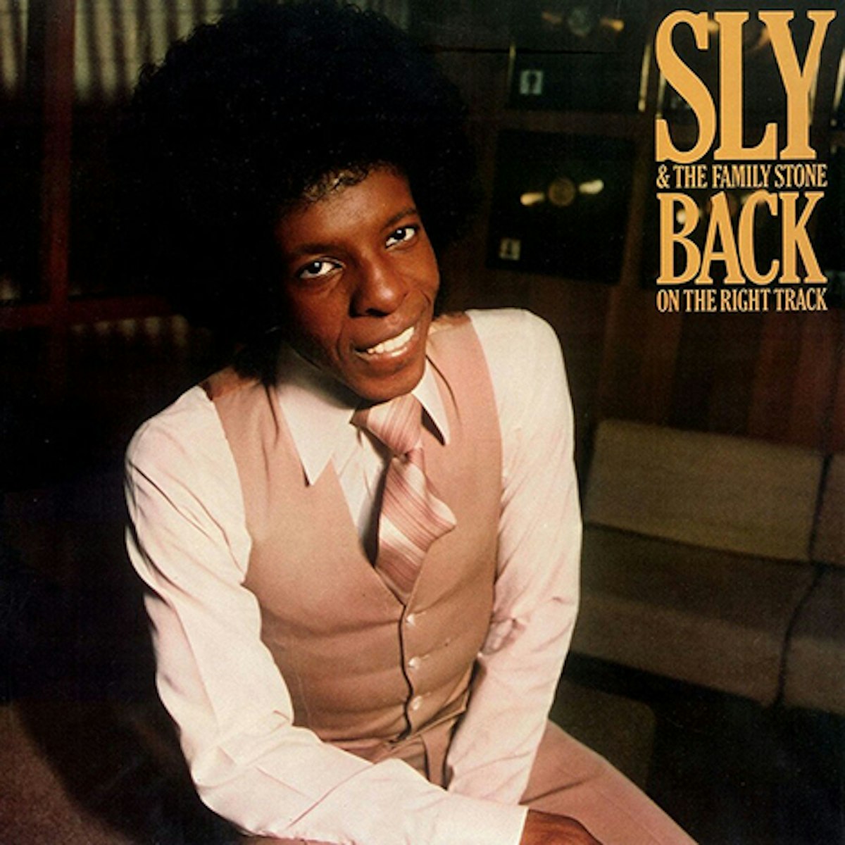 Every Sly Stone Album Ranked From Worst To Best