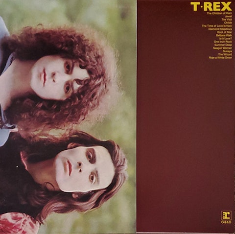 Every T. Rex Album Ranked From Worst To Best