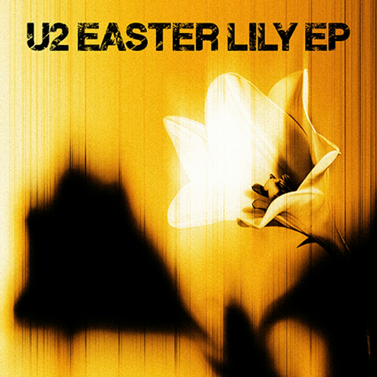 U2 Release New EP Easter Lily - Their best work in decades