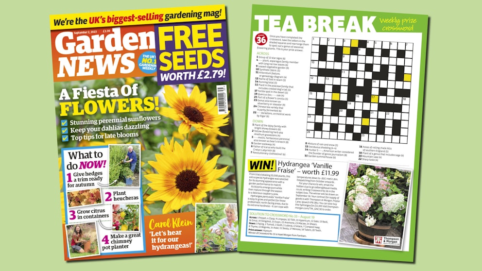 Bauer Puzzles | PuzzlesHQ