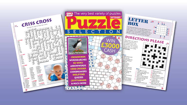 Take a Break Puzzle Magazines | PuzzlesHQ