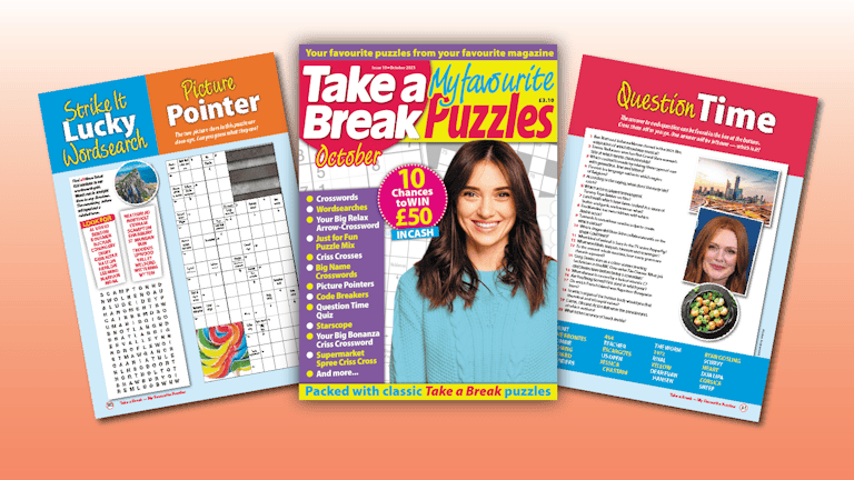 Take a Break Puzzle Magazines - crosswords, wordsearches, arrowwords ...