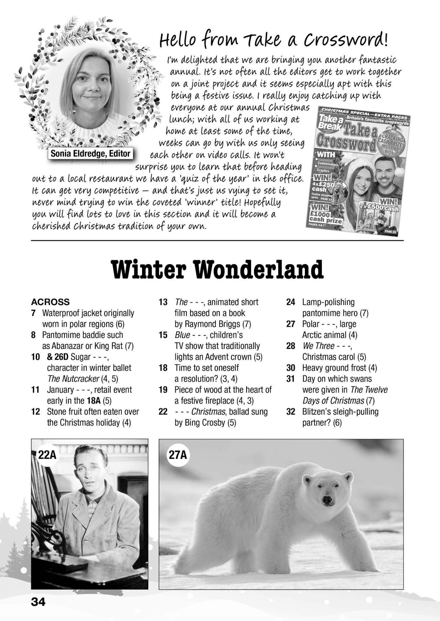 The Take A Break Puzzle Annual: Your Christmas Solving Sorted ... The Take A Break Puzzle Annual: Your Christmas Solving Sorted ...