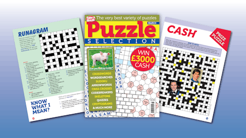 Take a Break Puzzle Magazines - crosswords, wordsearches, arrowwords ...