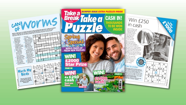 Take a Break Puzzle Magazines | PuzzlesHQ