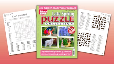 Take a Break Puzzle Magazines | PuzzlesHQ