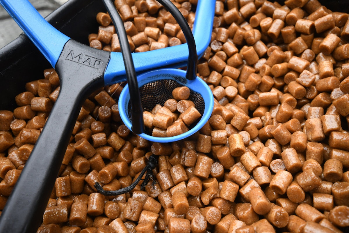 Improve your pellet waggler fishing | Rig and tactics guide | Angling Times