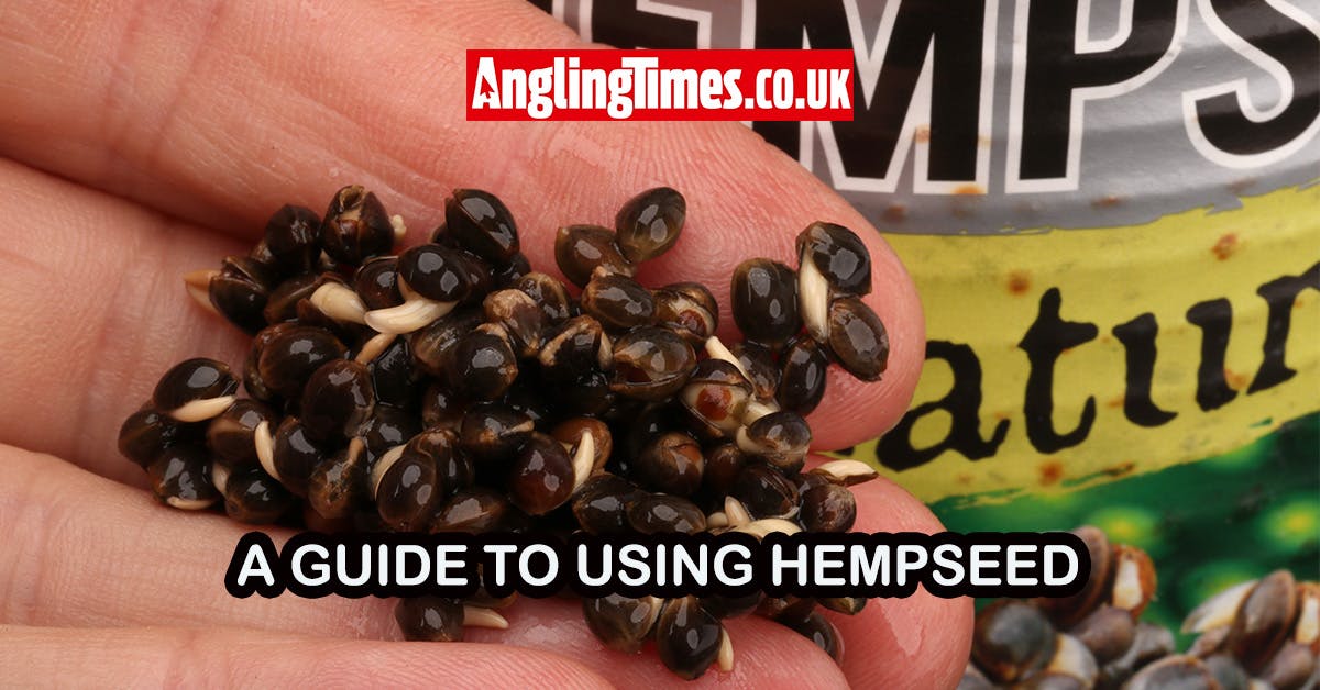 Bait | Advice | Angling Times