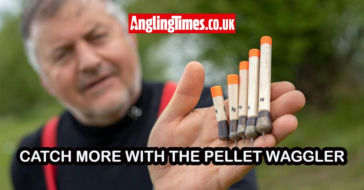 Improve your pellet waggler fishing | Rig and tactics guide | Angling Times