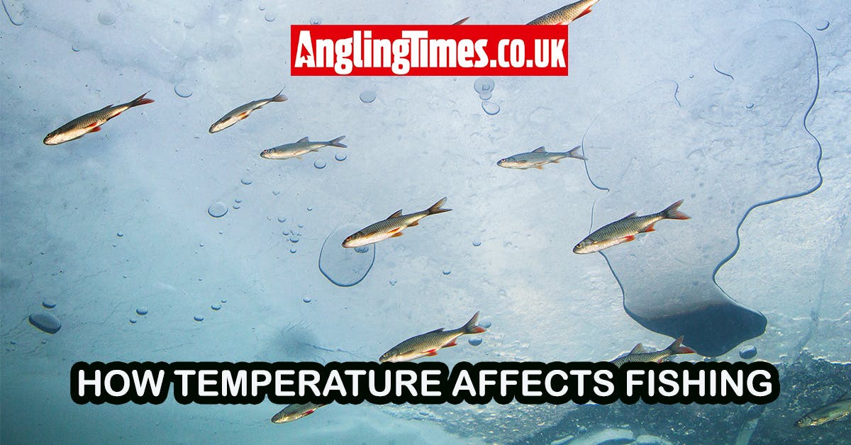 Tips | Advice | Angling Times