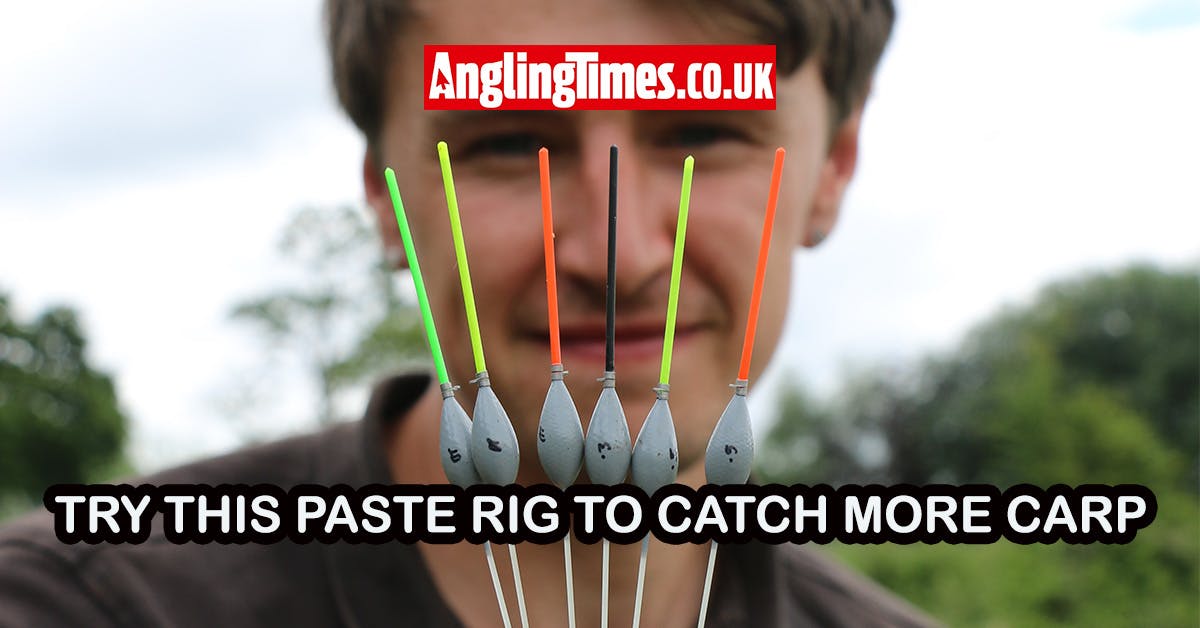 Paste fishing rig to catch more carp on the pole | Angling Times