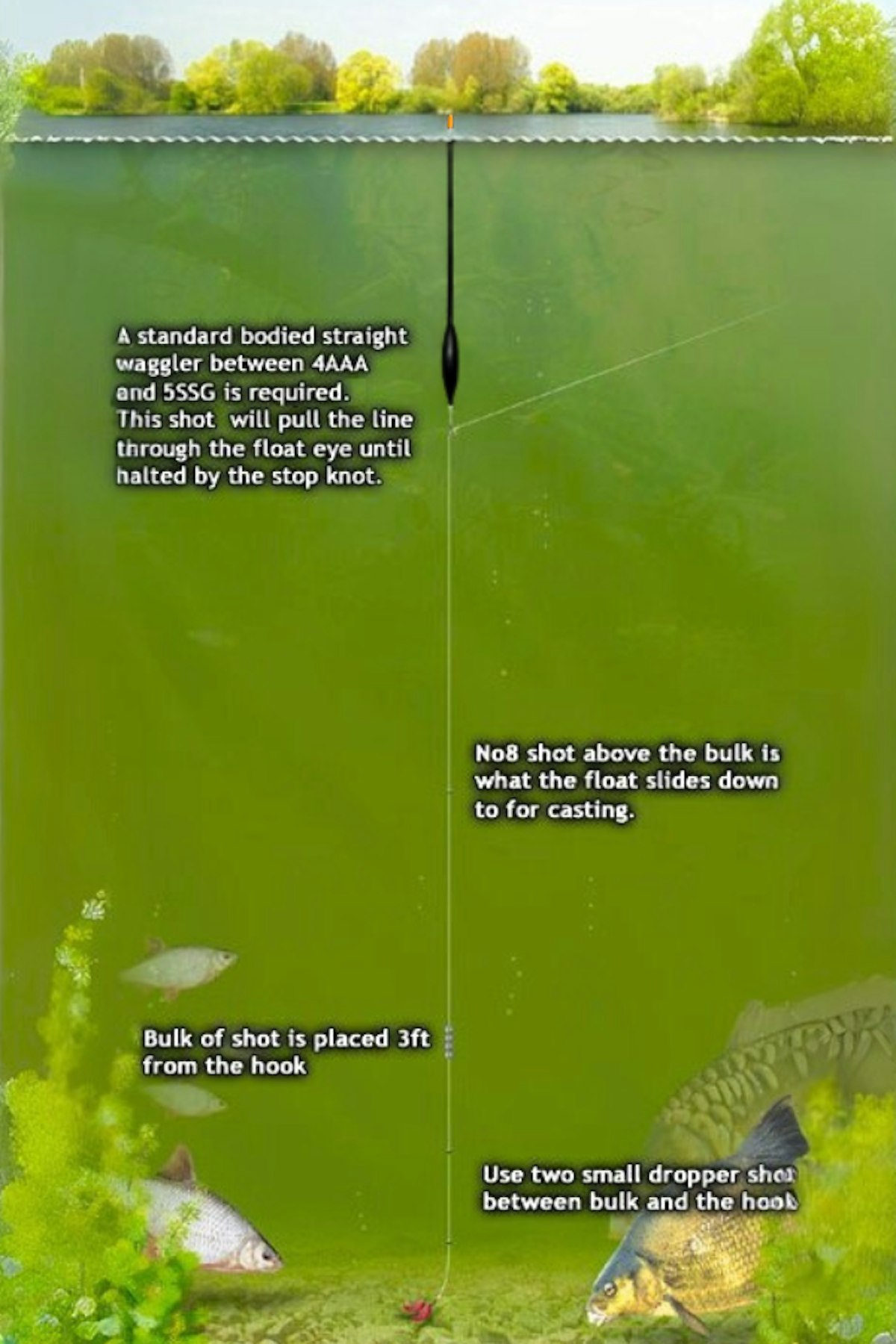 How to set up and fish with a slider float | Angling Times