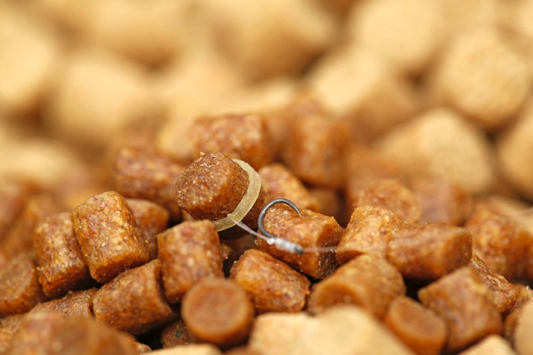 How to tie the banded knotless knot | Angling Times