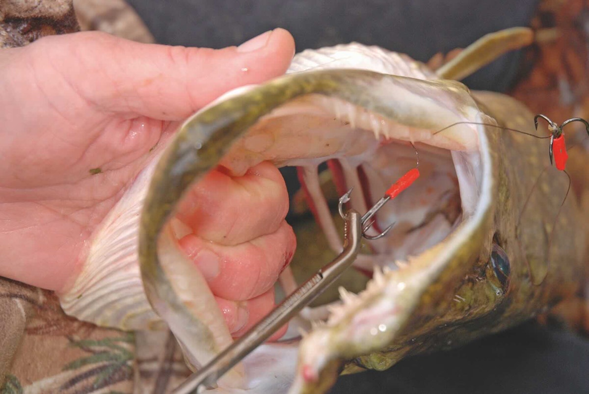 How to start pike fishing | Angling Times