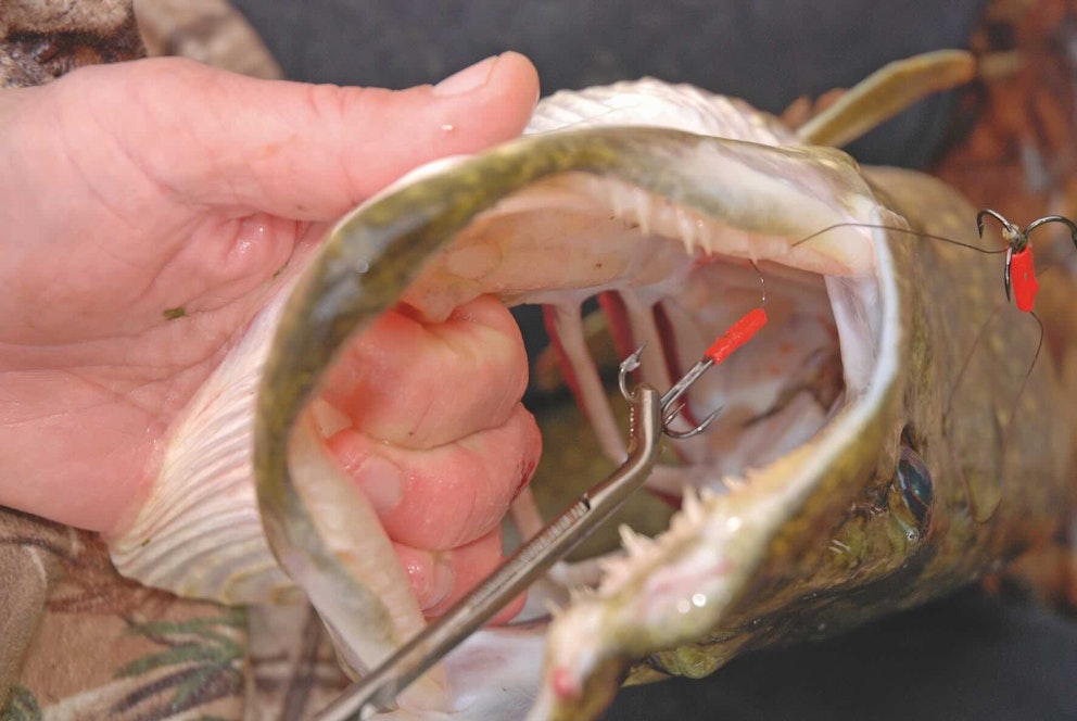 How to start pike fishing | Angling Times