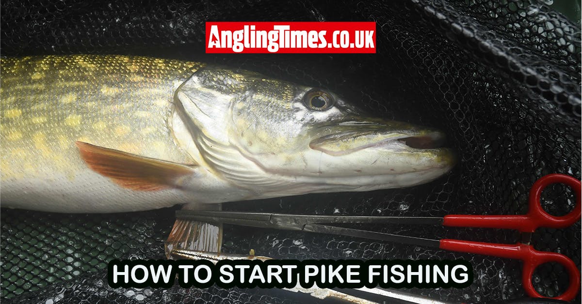 How to start pike fishing Angling Times