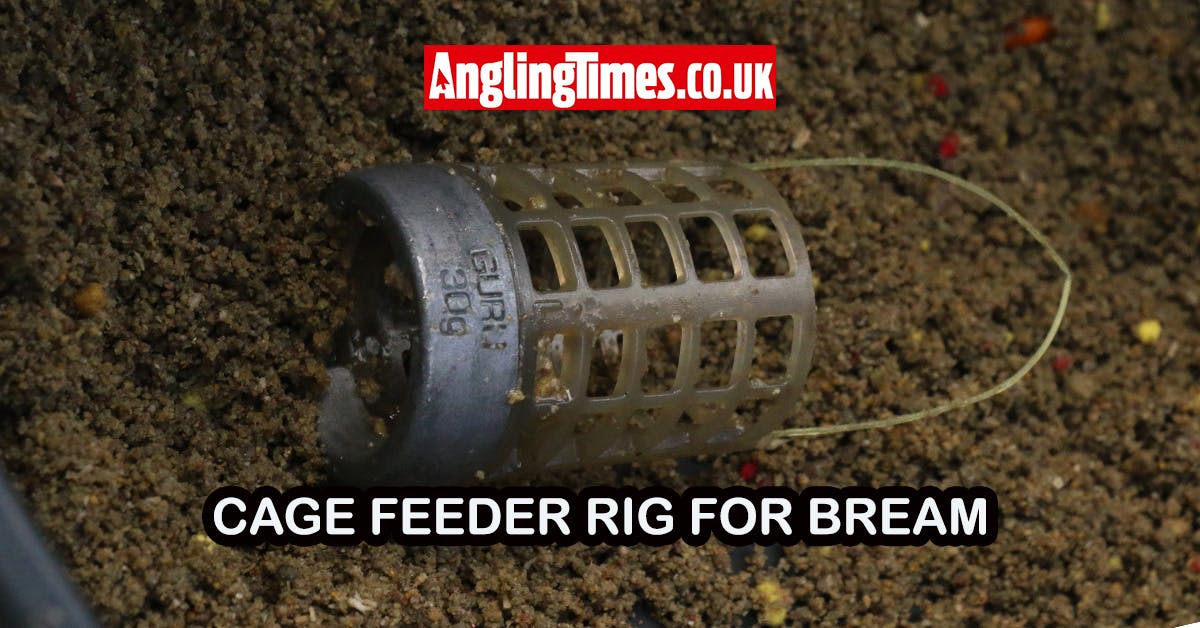 Cage feeder rig for bream fishing | Angling Times