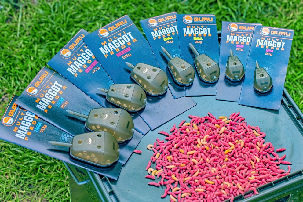 Try this maggot feeder rig for big tench