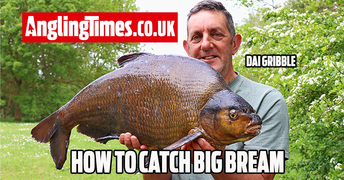 How to catch specimen bream – Dai Gribble | Angling Times