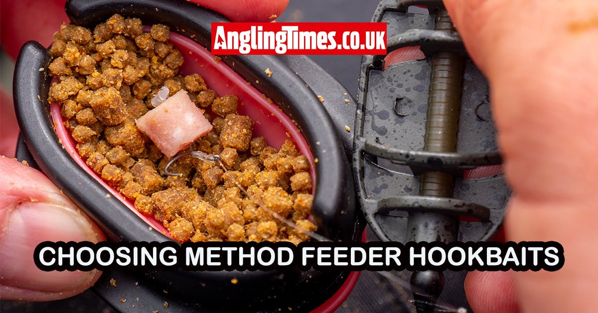 Bait | Advice | Angling Times