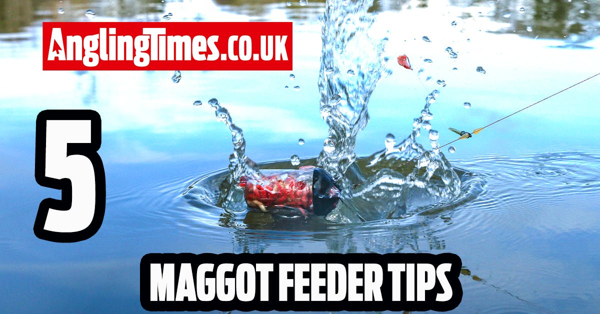 5 Top Tips For Maggot Feeder Fishing On Commercials | Angling Times