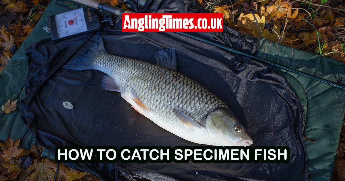 10 tips to catch bigger specimen fish | Angling Times