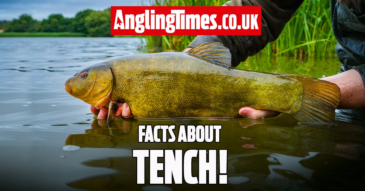 Tips | Advice | Angling Times