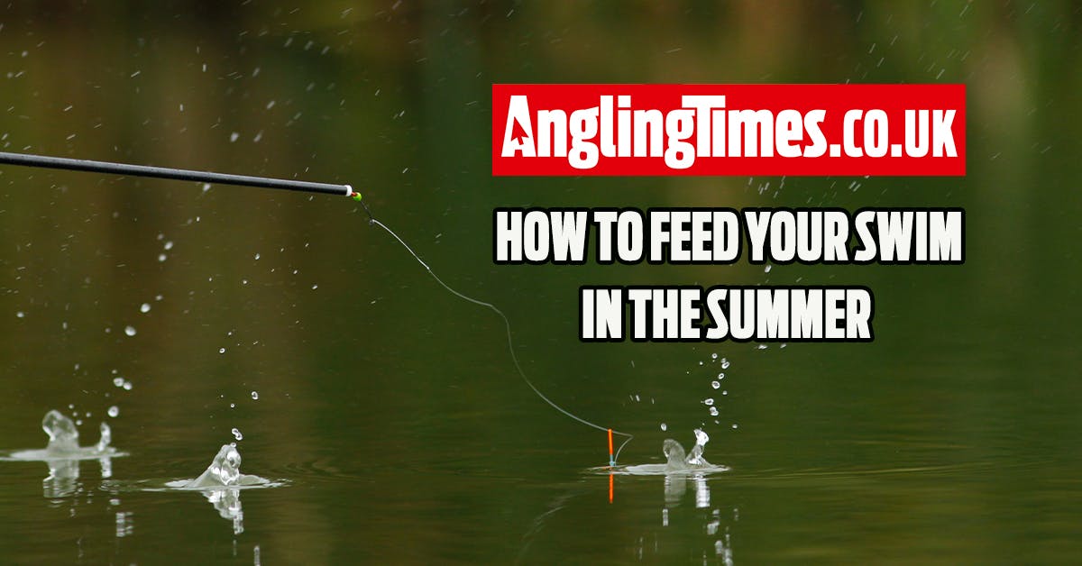 10 great tips for feeding your swim in the summer | Angling Times