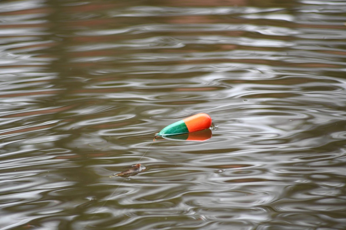 How to safely handle and unhook pike | Angling Times